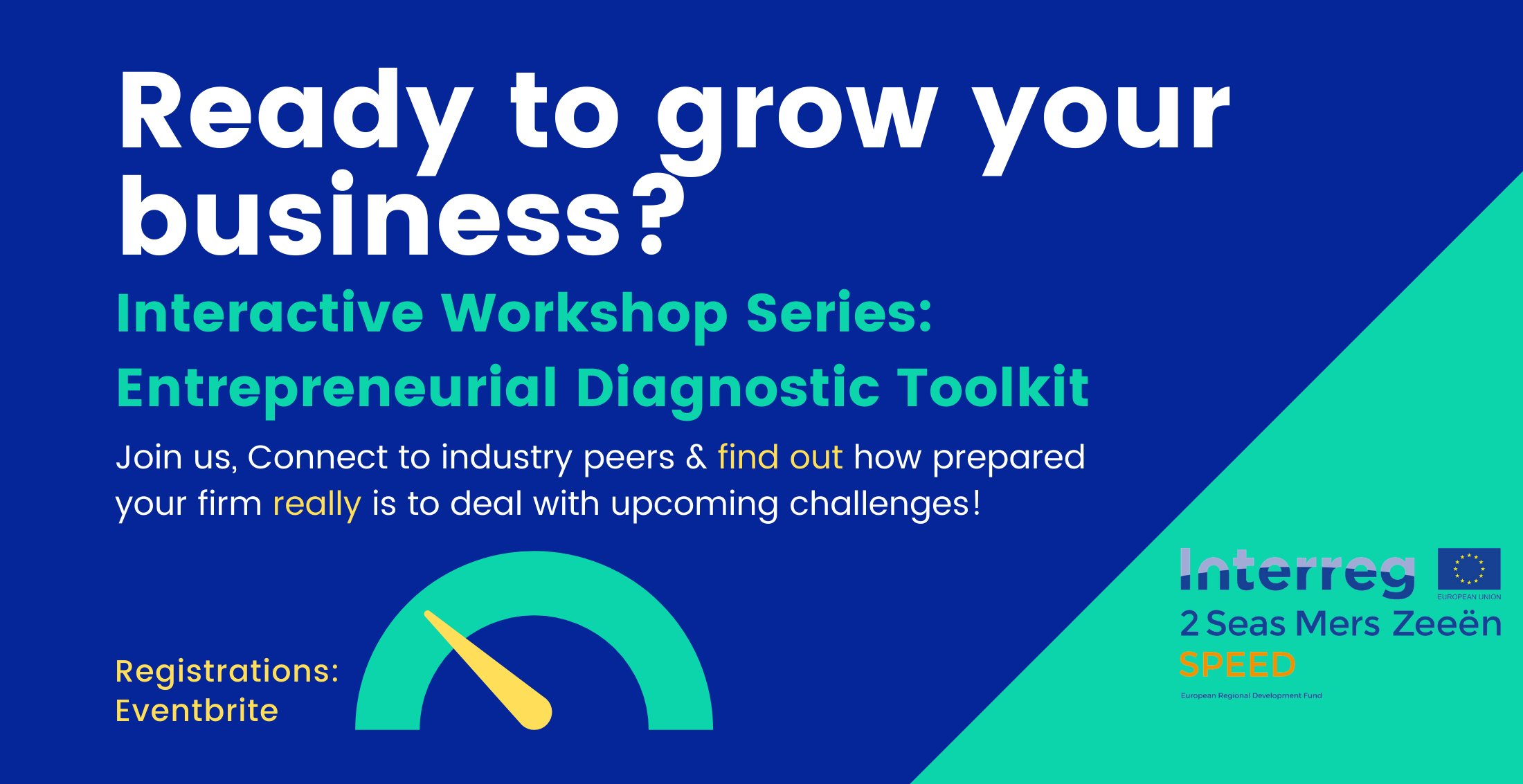 Workshop series: Entrepreneurial Firm Diagnostic Growth Toolkit - SPEED